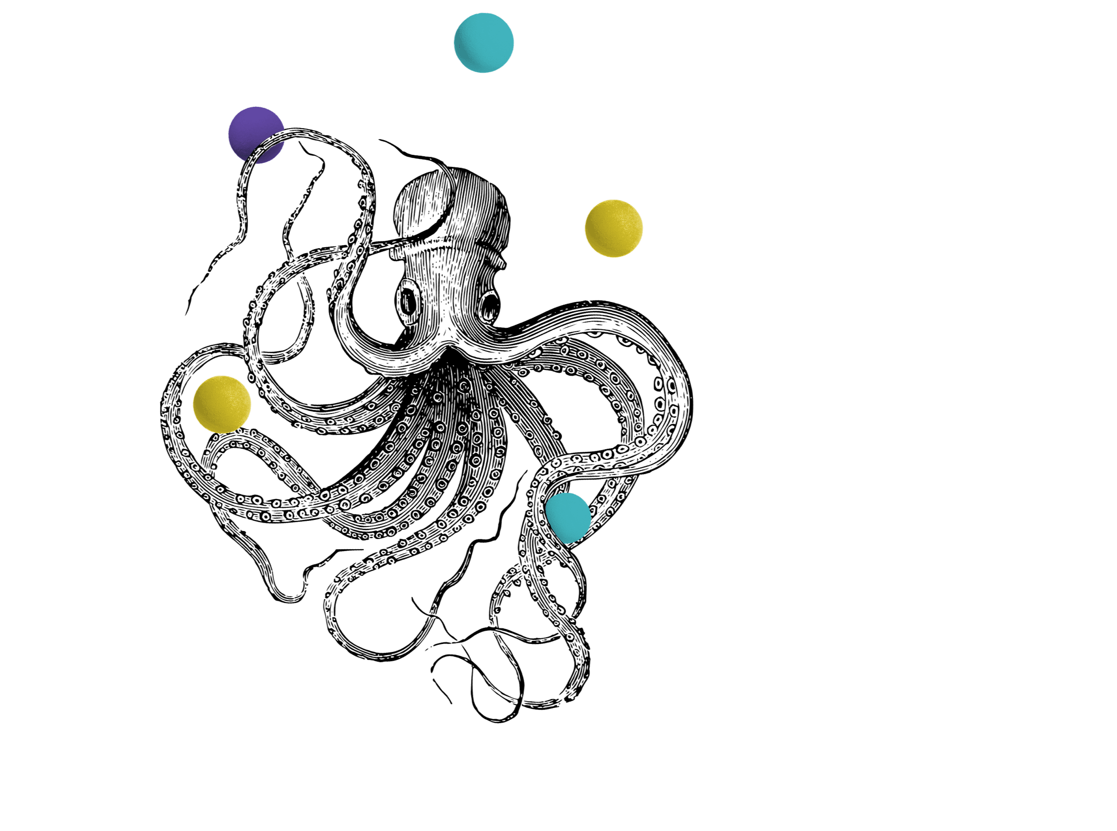 Our Thinking » Acacia Avenue